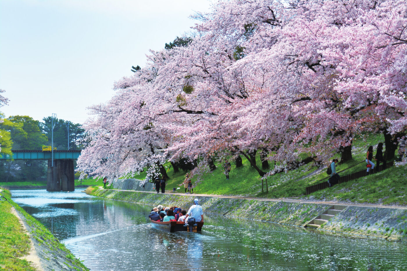 迷ったらココ！名古屋発の桜名所10選‼絶景も穴場も定番も2026春のお花見まとめ | NAGOYA.（ナゴヤドット）